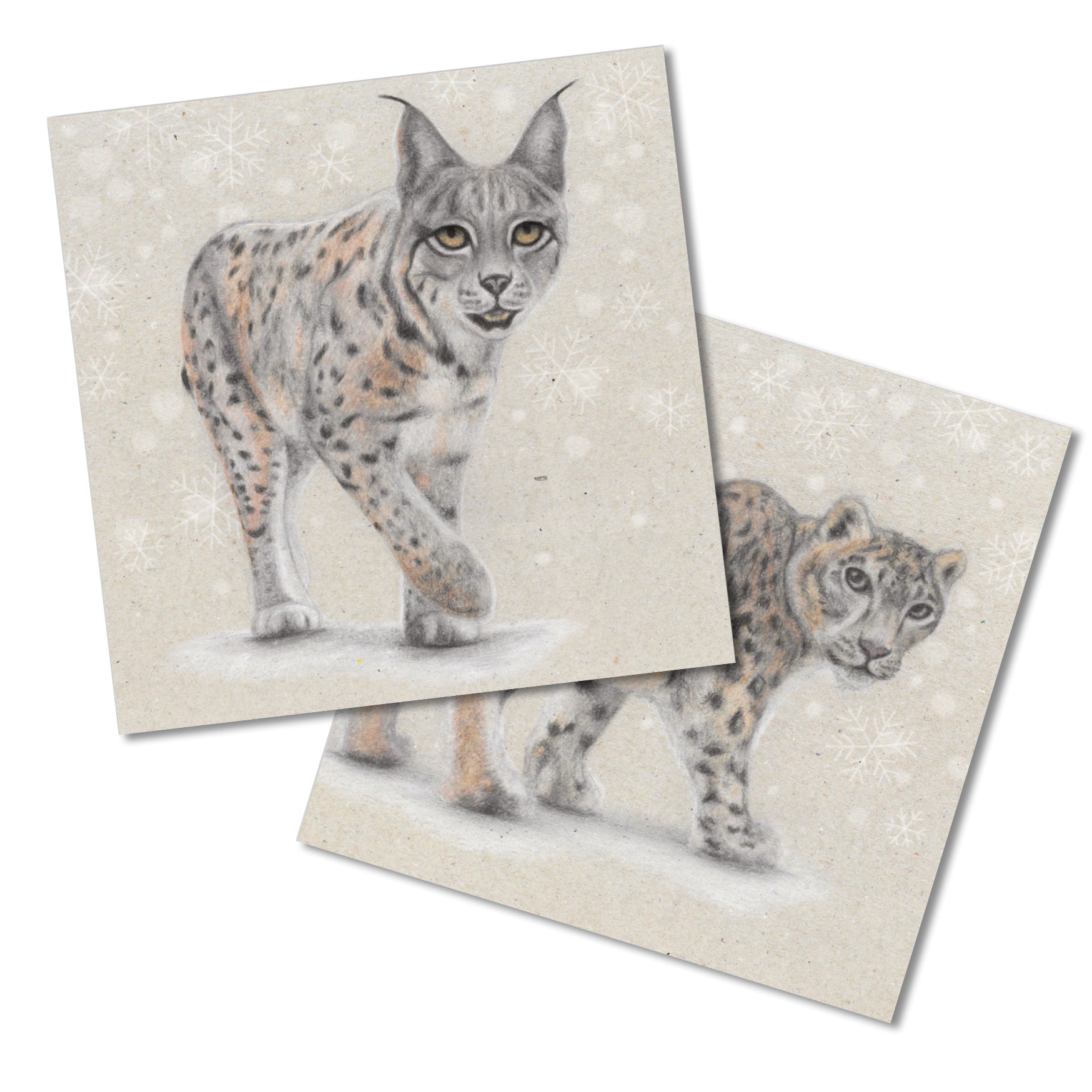 Lynx & Snow Leopard Christmas Cards by Chloe Barnes