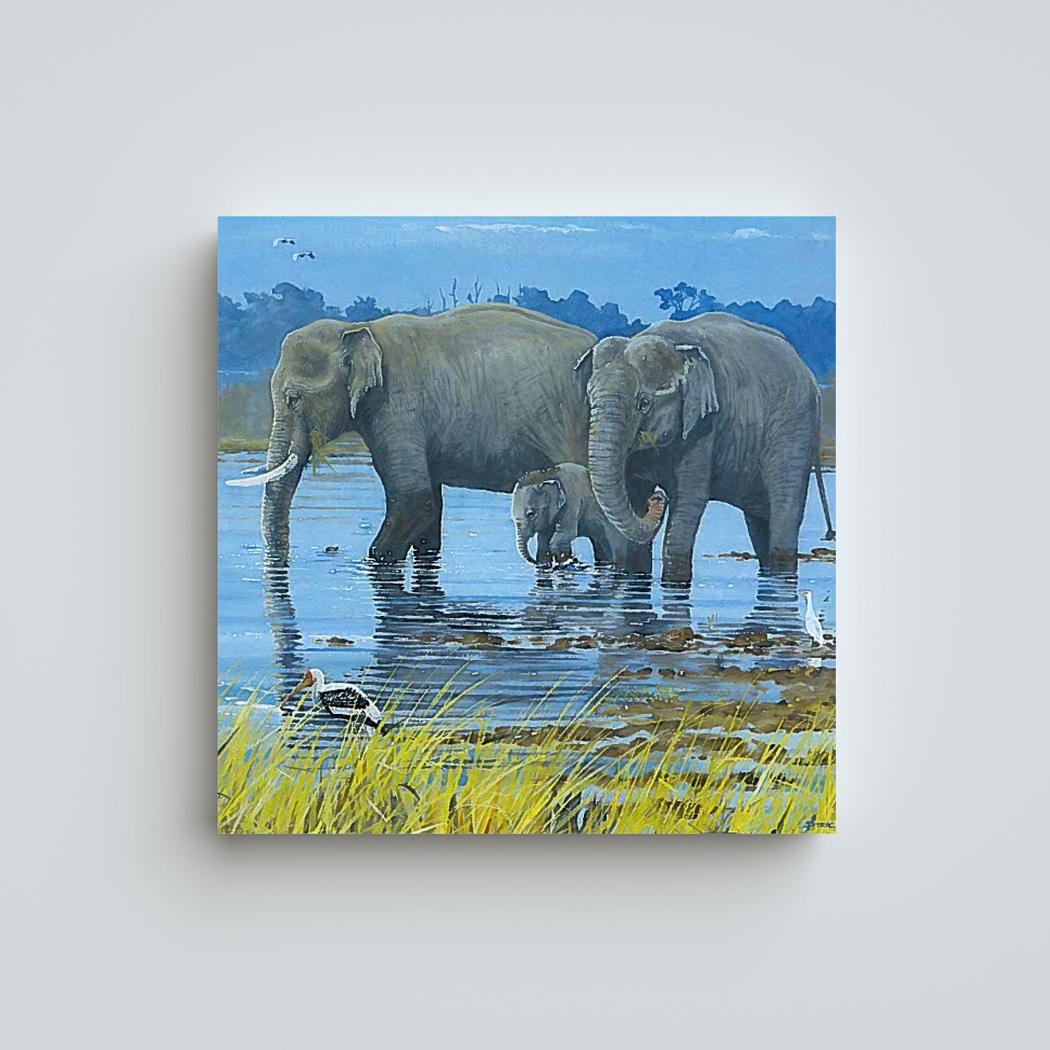 Greeting Cards | Bath Time, Indian Elephant by Steve Cale | UK